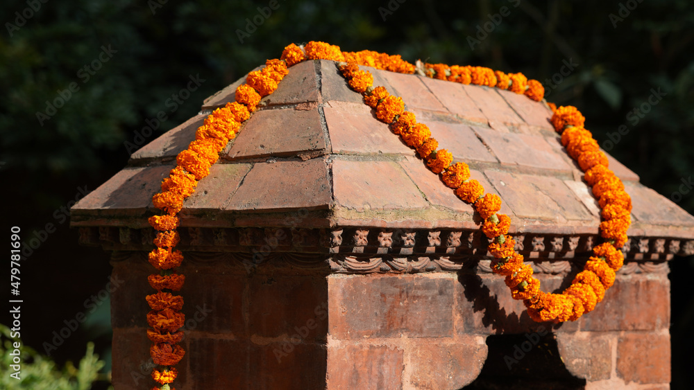 Orange Marigold flower displayed during the Tihar hindu festival in ...