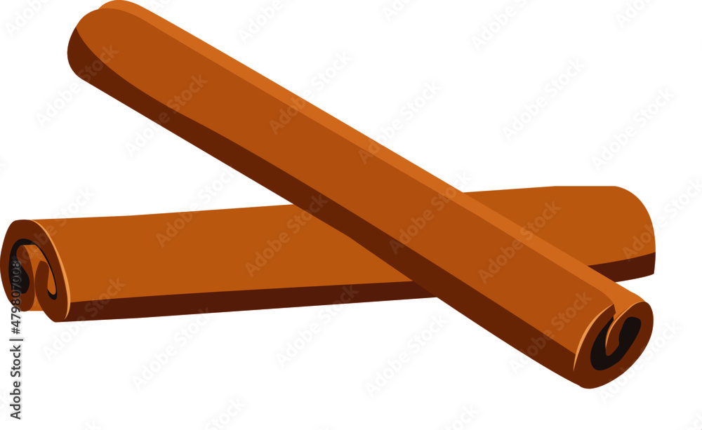 cinnamon stick isolated on white background, vector illustration ...