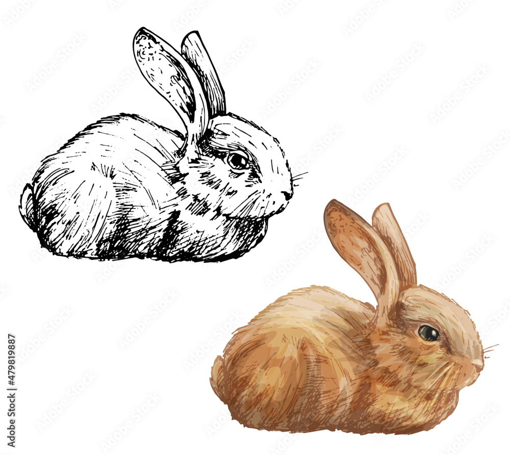 Vintage Bunny Vector