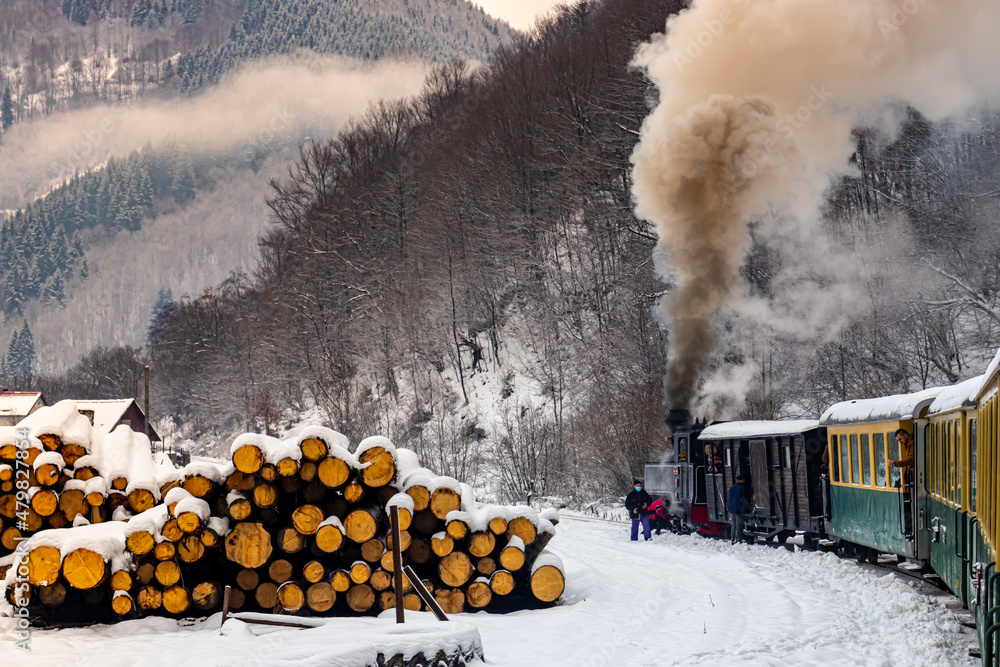 Photo of a narrow gauge steam locomotive, steaming through the winter ...