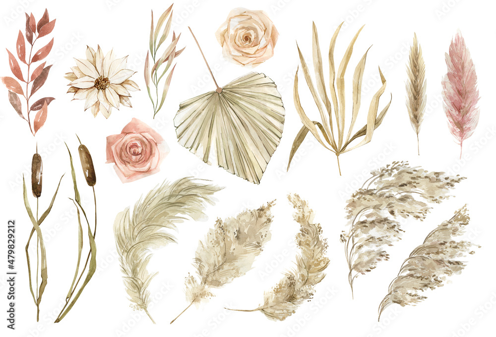 Watercolor boho flowers and leaves clipart. Dry palm branches, dried ...