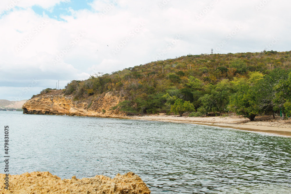 Bosque Seco de Guánica, Puerto Rico Stock Photo | Adobe Stock