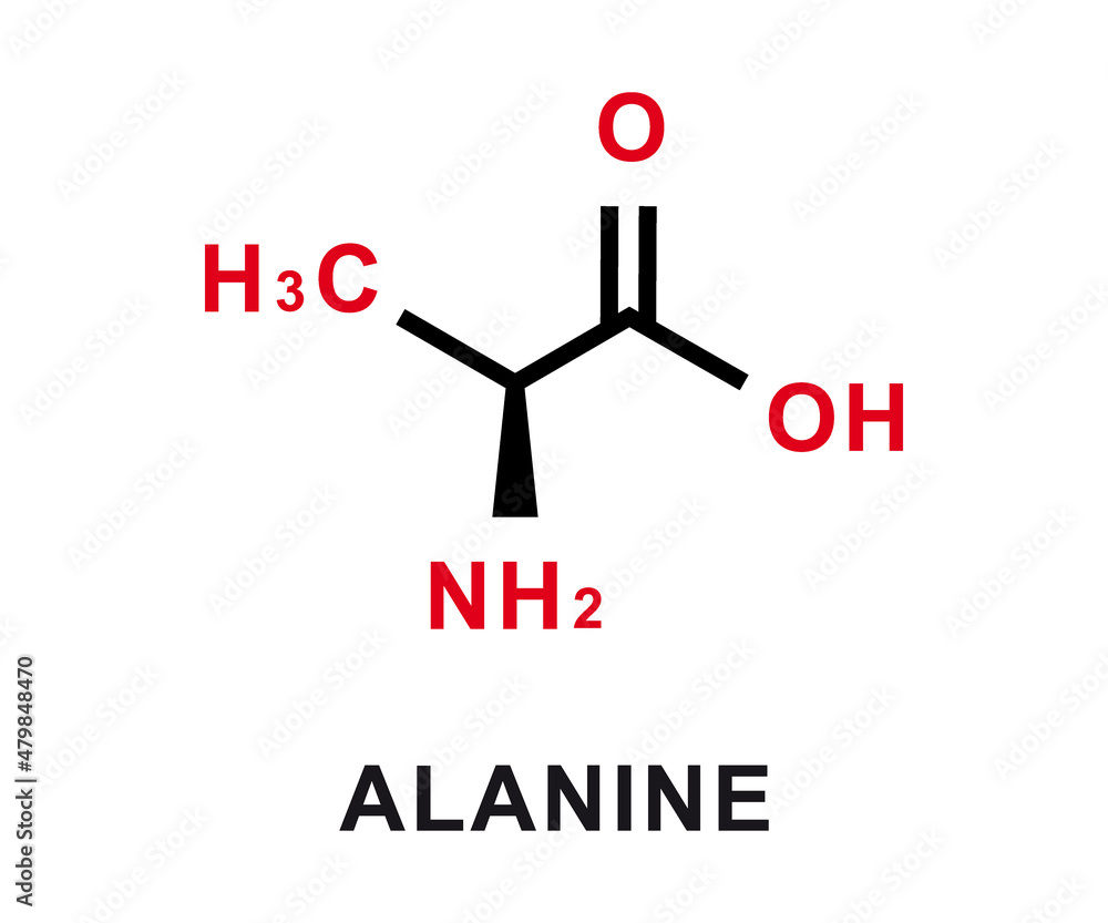 Alanine chemical formula. Alanine chemical molecular structure. Vector ...