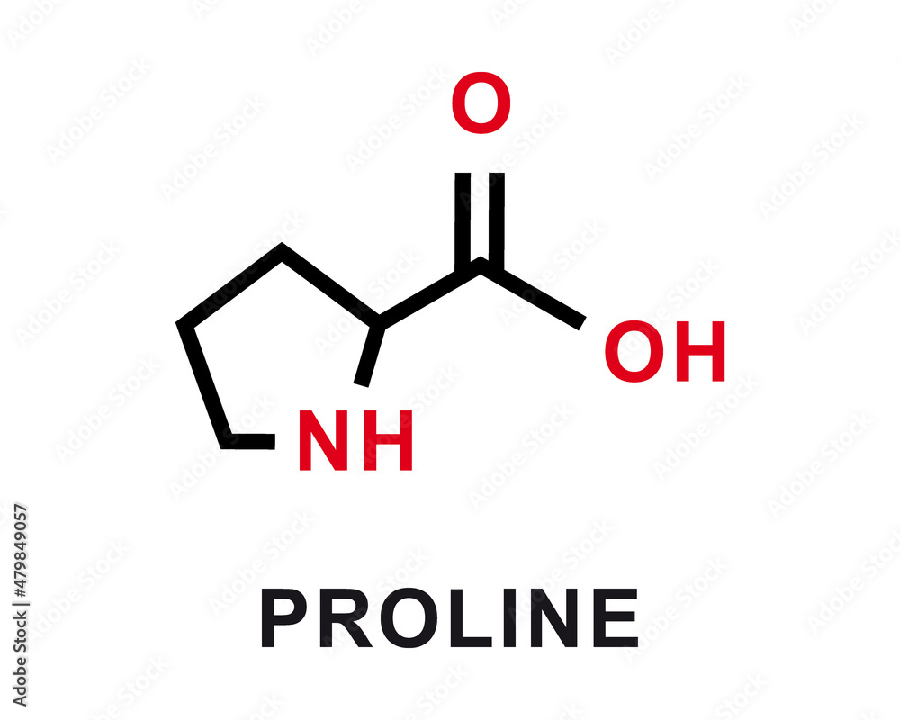 Proline chemical formula. Proline chemical molecular structure. Vector ...