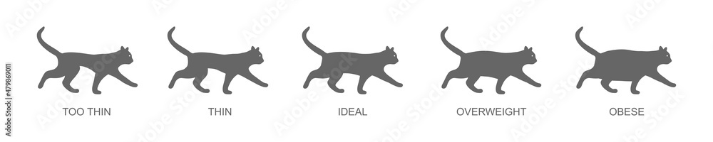 Cat body condition chart. Silhouettes of domestic animals with normal ...
