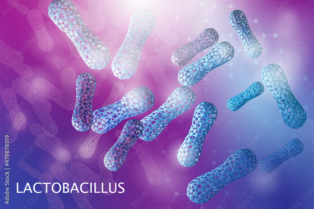 Lactobacillus background. Gut microbiome. Bifidobacteria on blue-violet ...