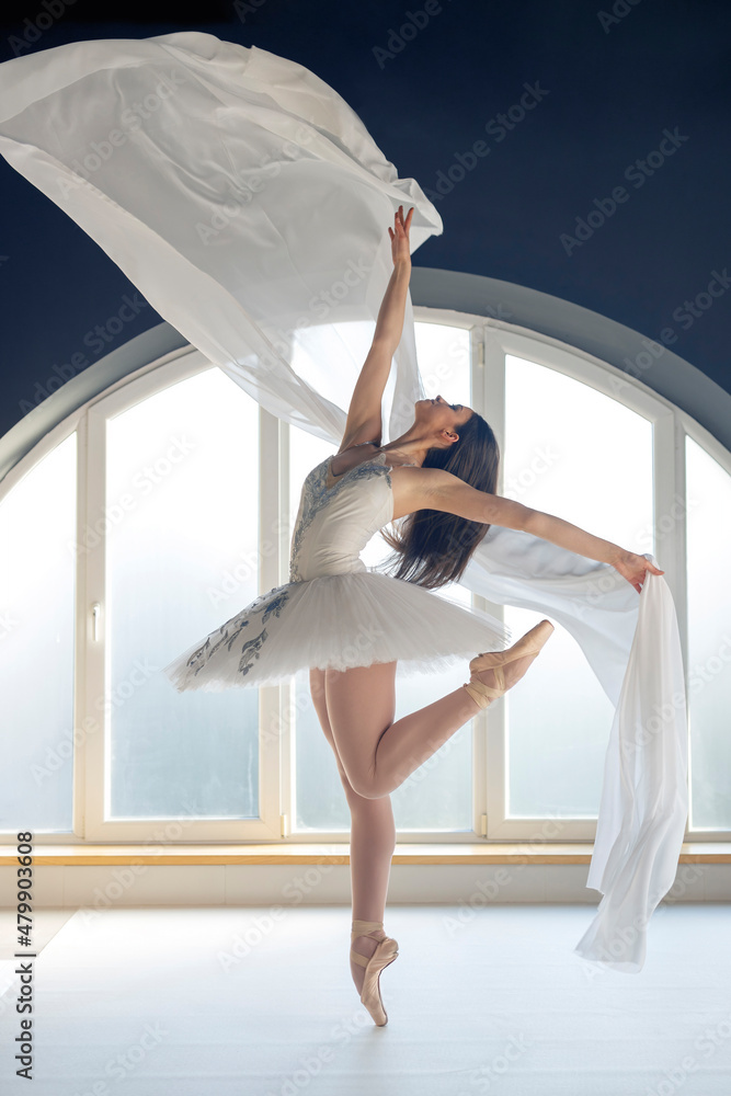 Young motivated ballerina dressed in white tutu costume practice ballet ...