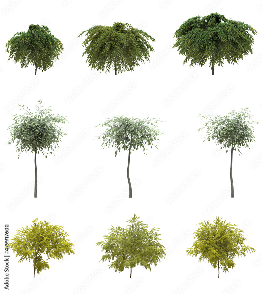 Cutout tree for use as a raw material for editing work. isolated green ...