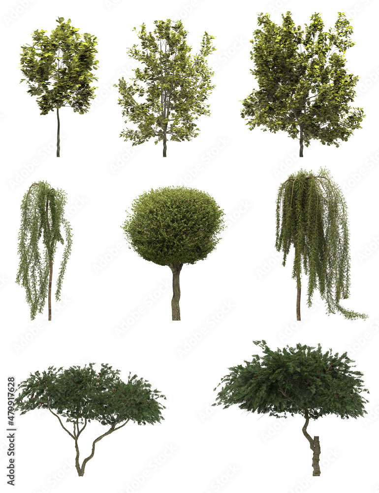 Cutout tree for use as a raw material for editing work. isolated green ...