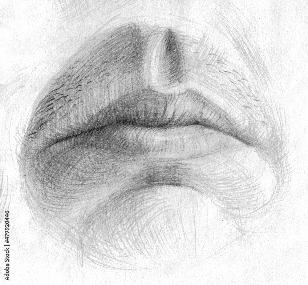 Pencil drawing of male lips Stock Illustration | Adobe Stock
