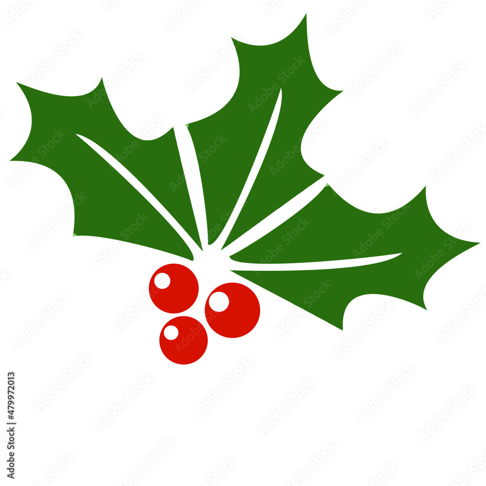 Holly Leaves and Berries Stock Illustration | Adobe Stock