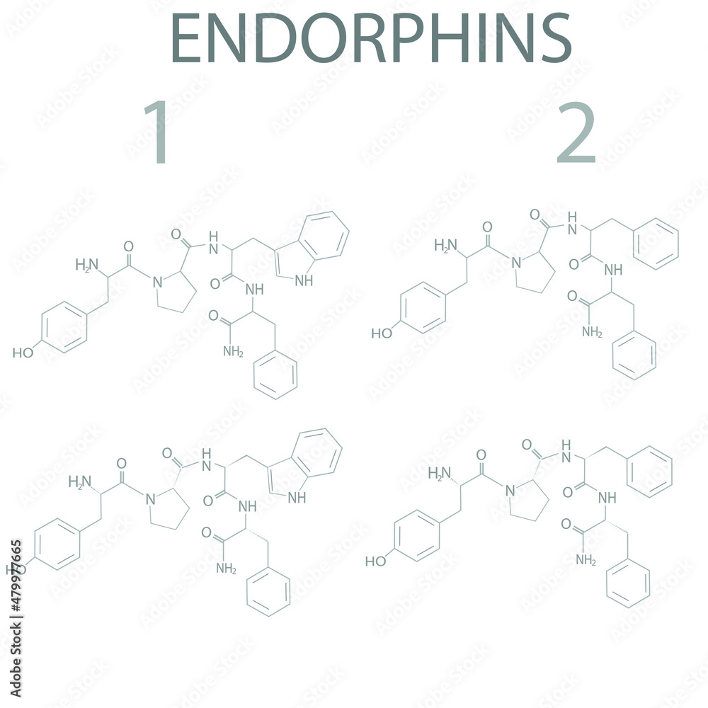 Endorphins molecular skeletal chemical formula. Stock Vector | Adobe Stock