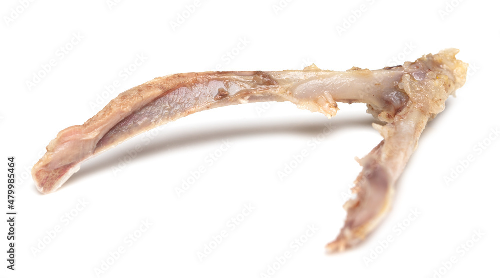 Chicken bone on a white background. Stock Photo | Adobe Stock