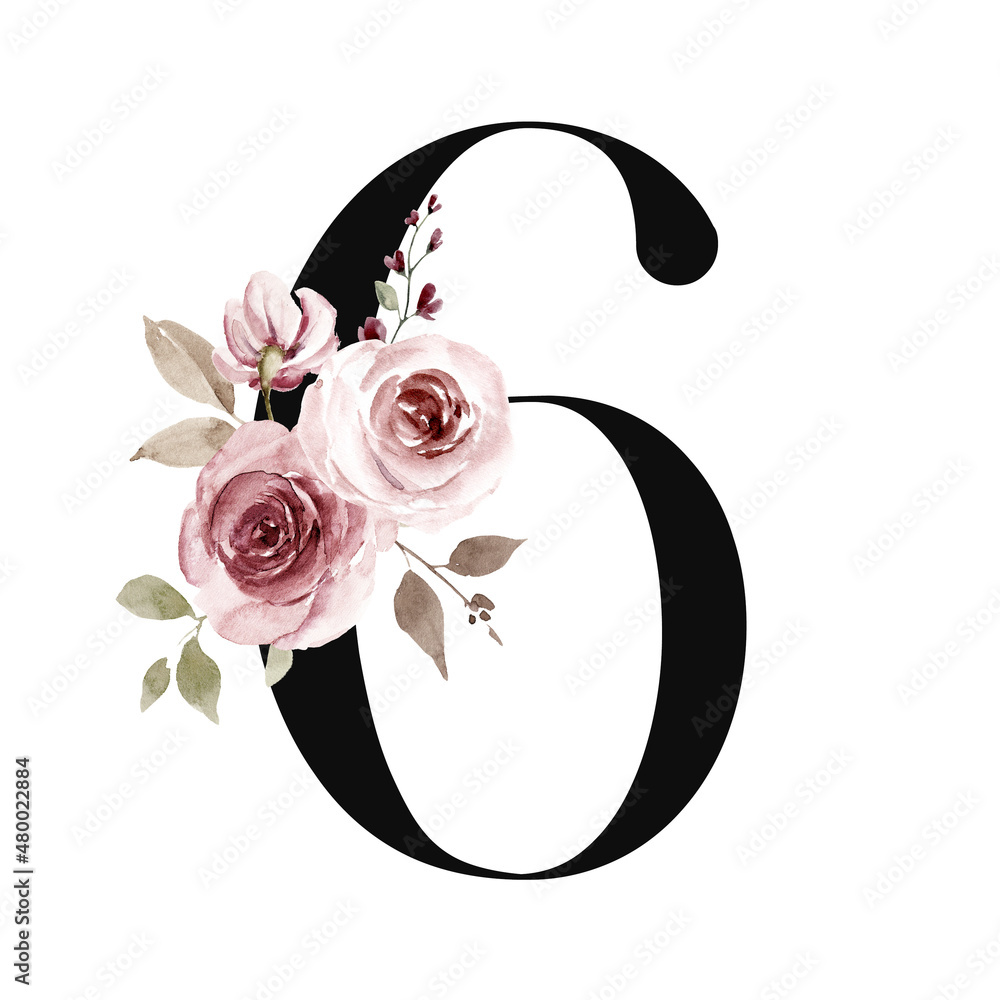 Number 6 with watercolor flowers roses hand painting. Perfectly for ...