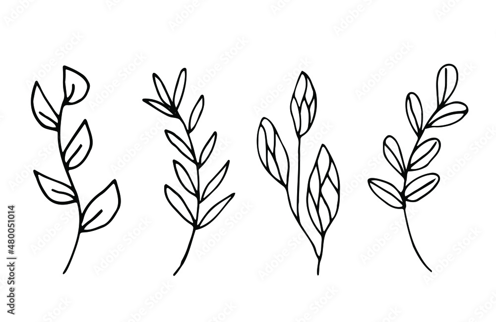 Hand drawn simple cute vector leaves set. Black and white illustration ...