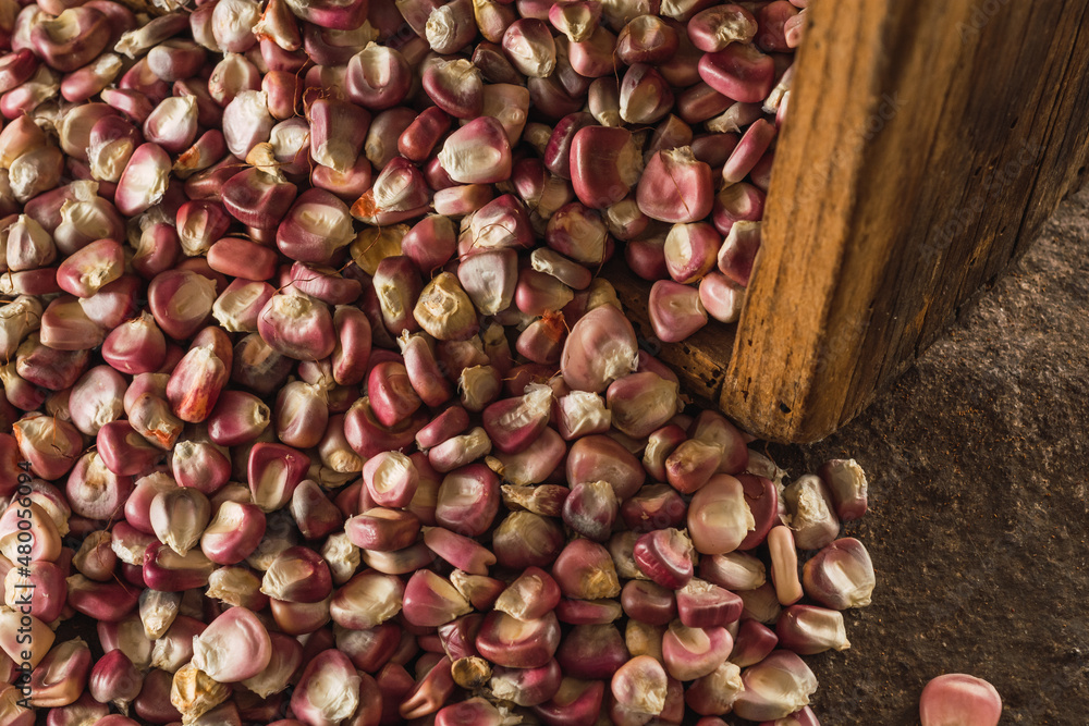 Typical Mexican red corn on a wooden panel, a traditional measure in ...