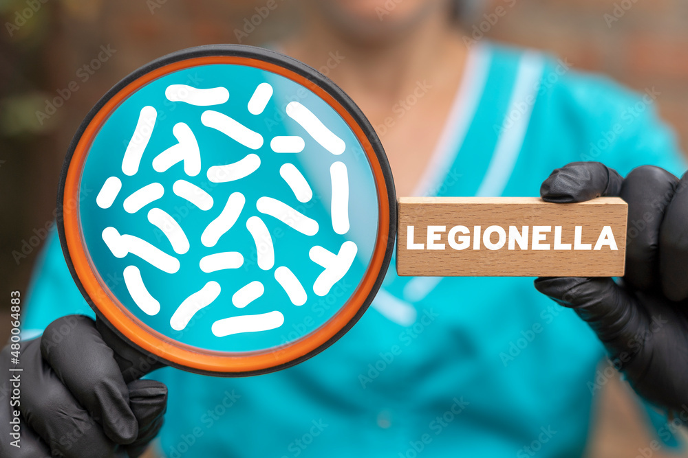 Medical concept of legionella test. Legionella pneumophila bacteria in ...