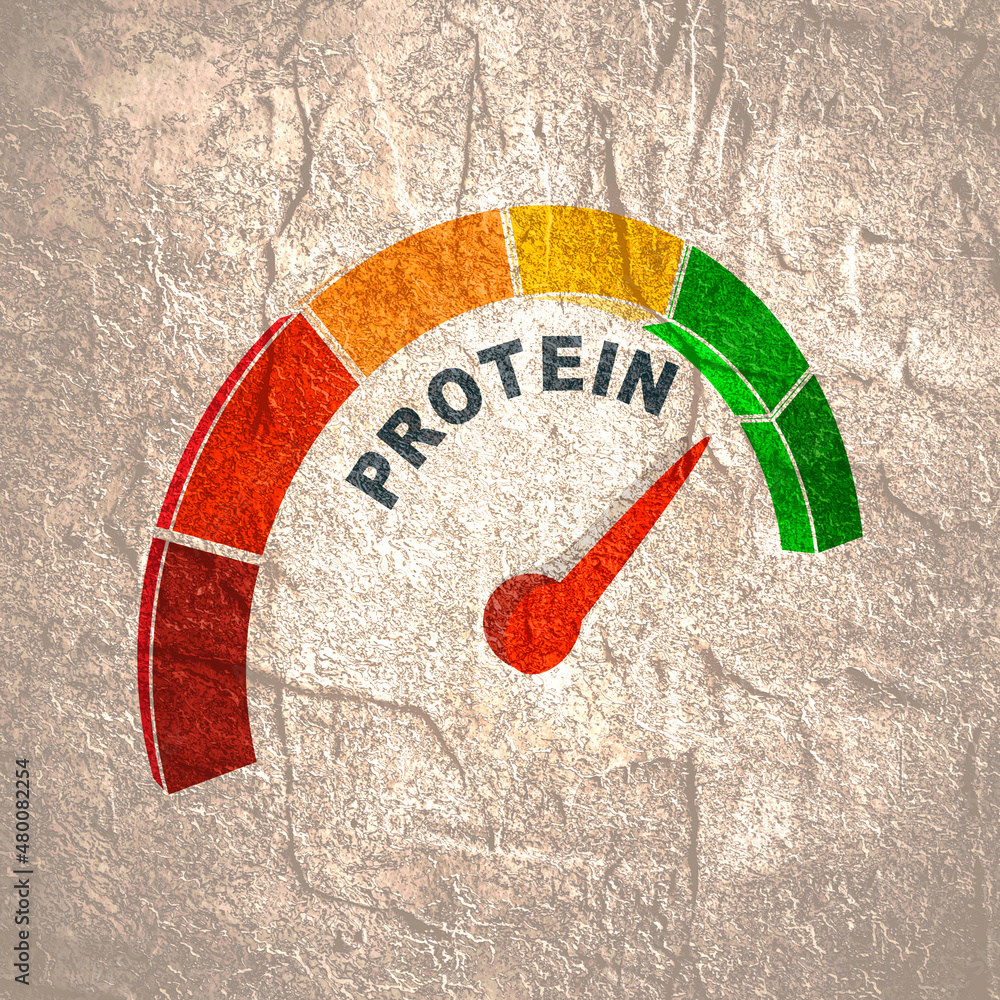 Protein level scale. Concept of sport nutrition Stock Illustration ...