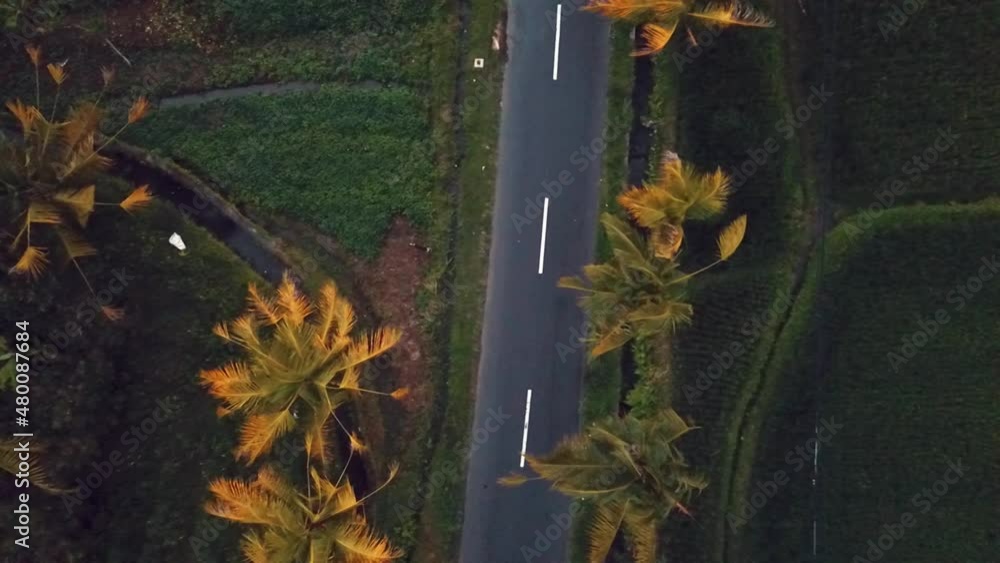 Drone shot in Bali Indonesia at spring 2020. Sunset dusk in 1080, 60P ...