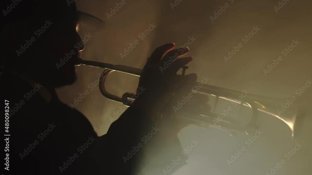 Stockvideo Bearded male musician in hat and jacket plays trumpet ...