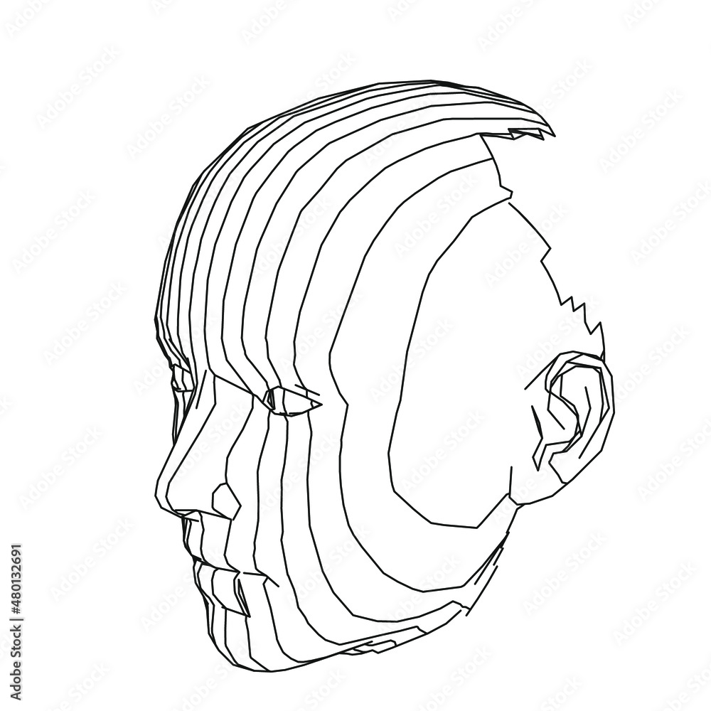 3D wireframe of a human head. Concept for Artificial intelligence and ...