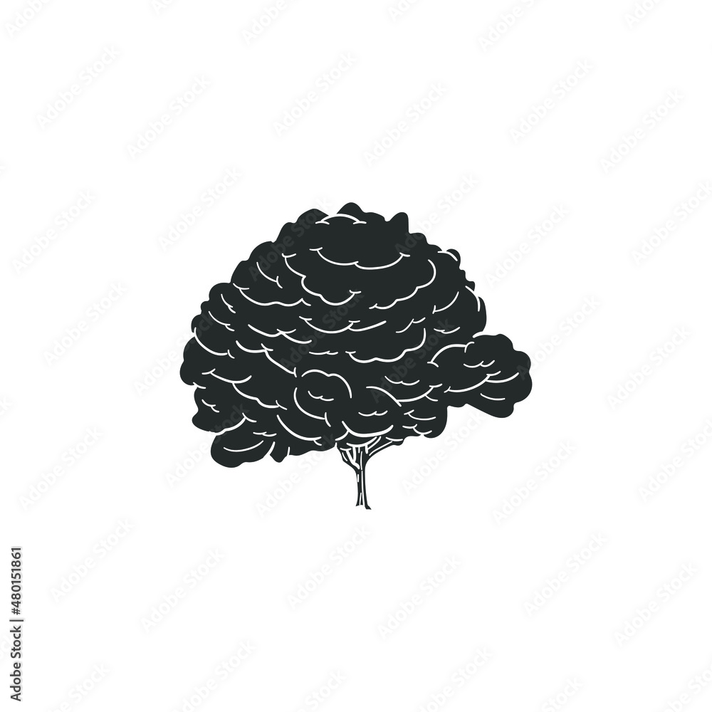 Olm Oak Icon Silhouette Illustration. Tree Botanic Vector Graphic ...
