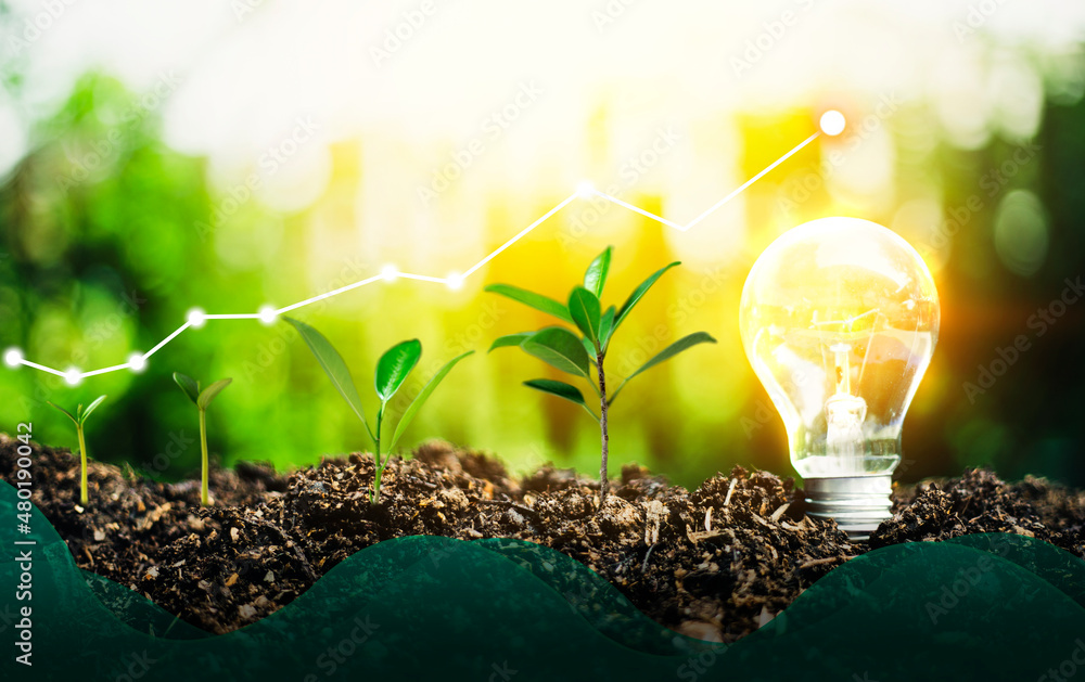 Renewable energy generation is essential in the future. Iluminated ...