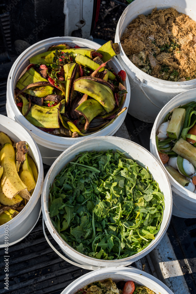 Food waste from local restaurants being repurposed as chicken feed for ...