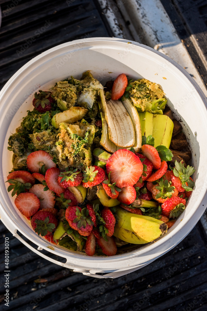 Food waste from local restaurants being repurposed as chicken feed for ...