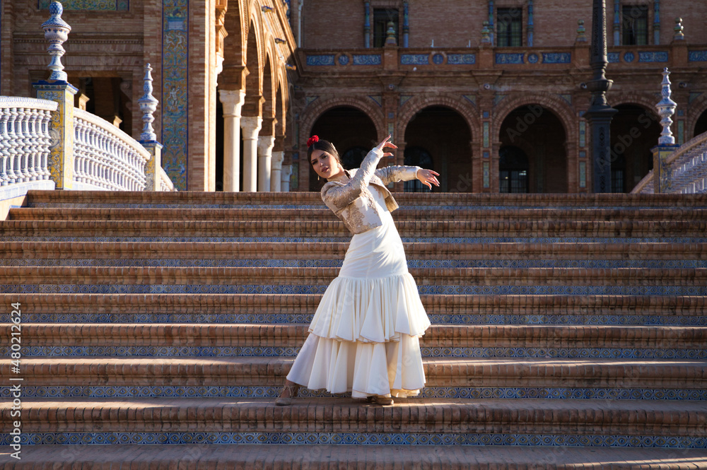 Flamenco dancer, woman, brunette and beautiful typical spanish dancer ...