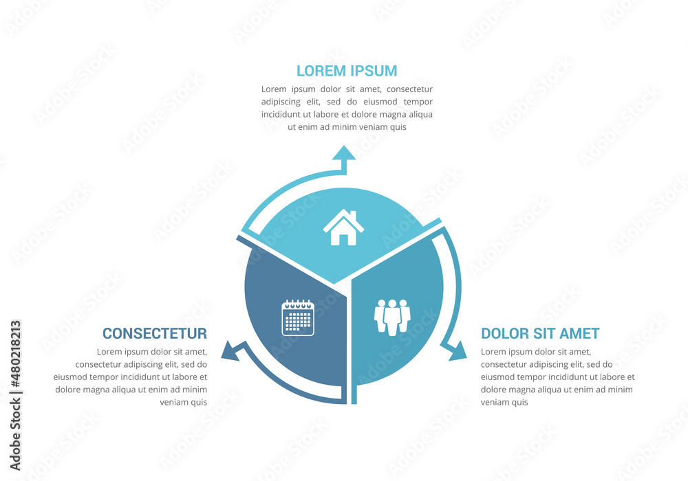 Circle diagram template with three steps or options, process ...