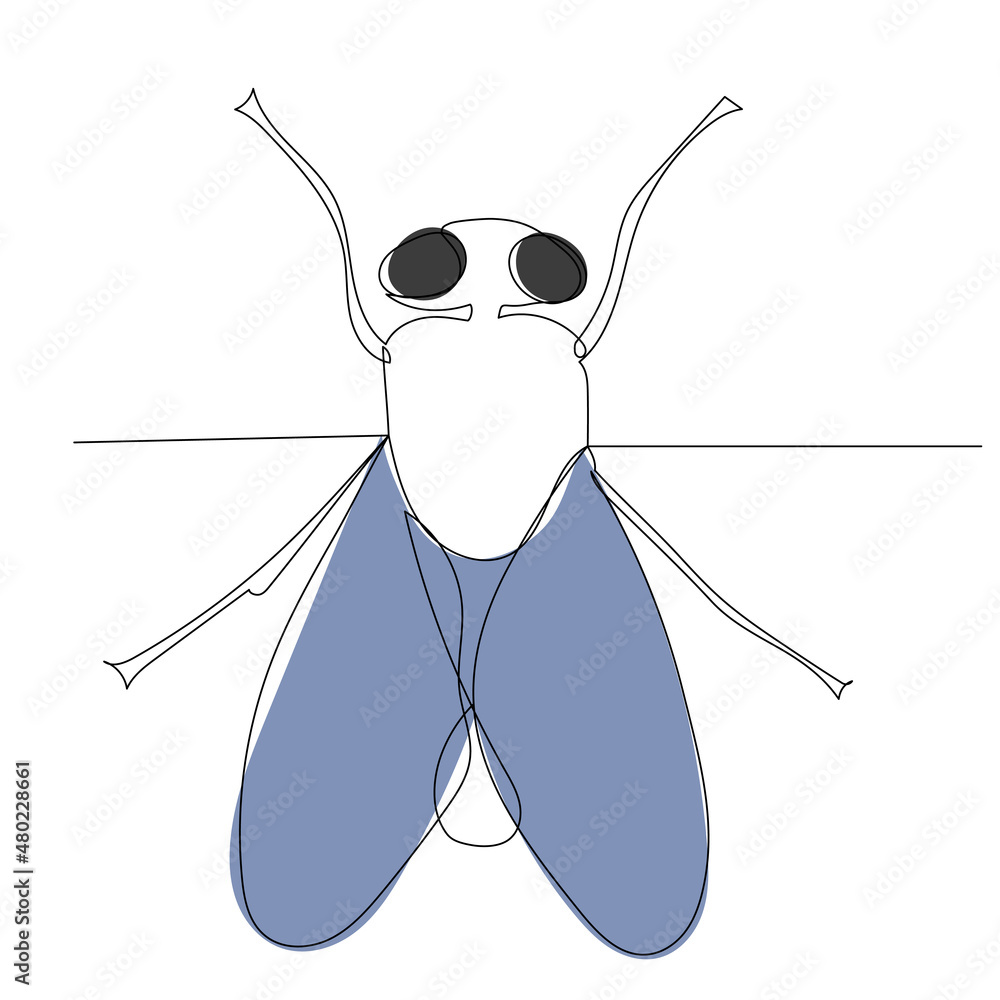 fly sketch one line drawing,white background,sketch,vector Stock Vector ...