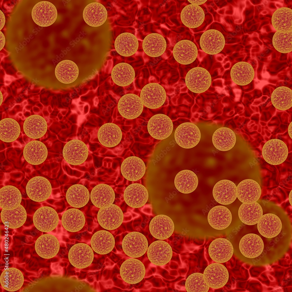 virus in blood - among the red blood cells - Scanning Electron ...