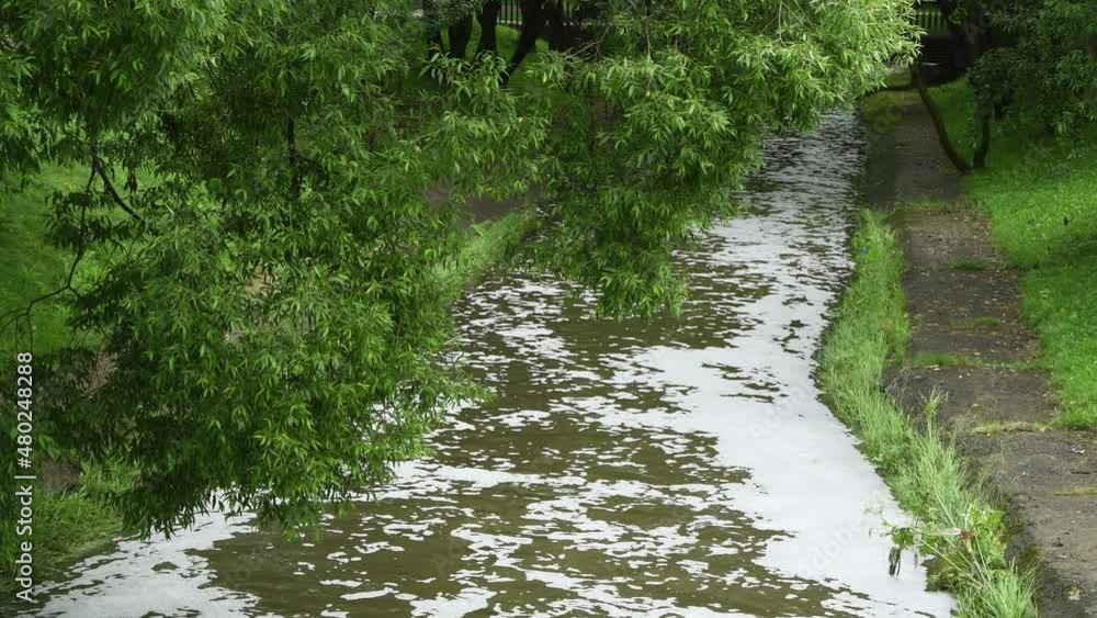 Water pollution. Pollution of a channel caused by surfactants. White ...