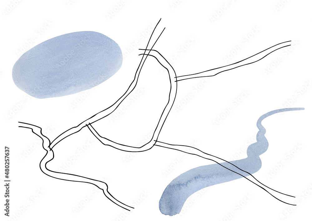 watercolor map creator, map, road, street, river, lake, isolated ...