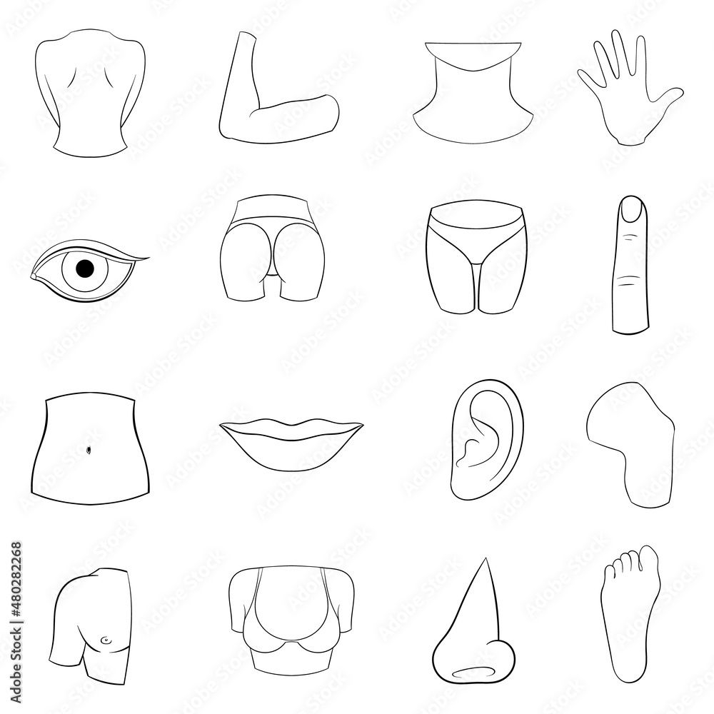 Body parts set icons in outline style isolated on white background ...