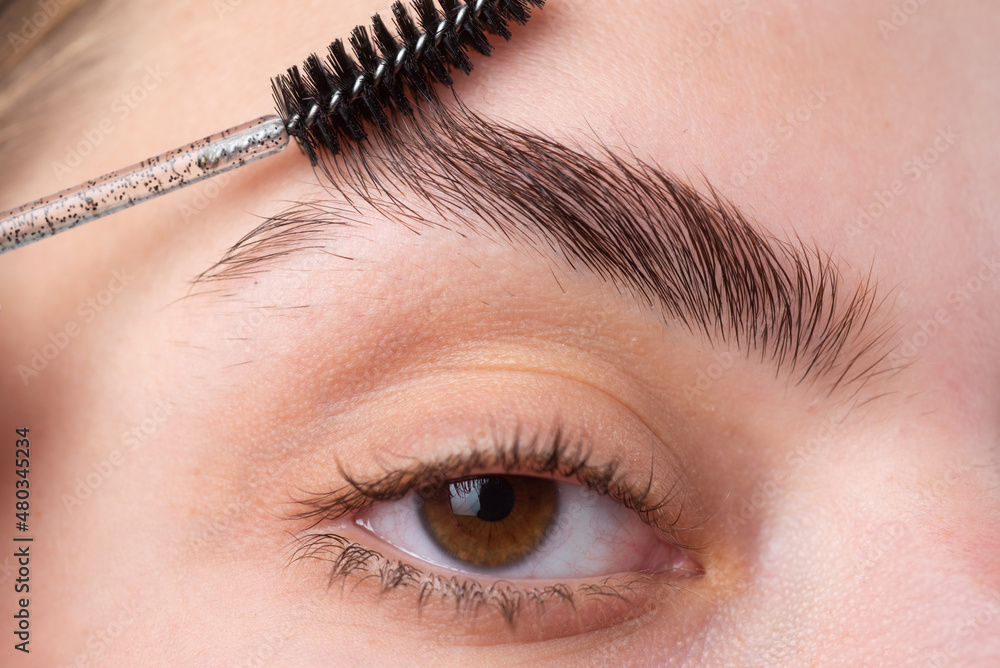 Woman eye with beautiful eyebrows. Perfect shaped brow, eyelashes with ...