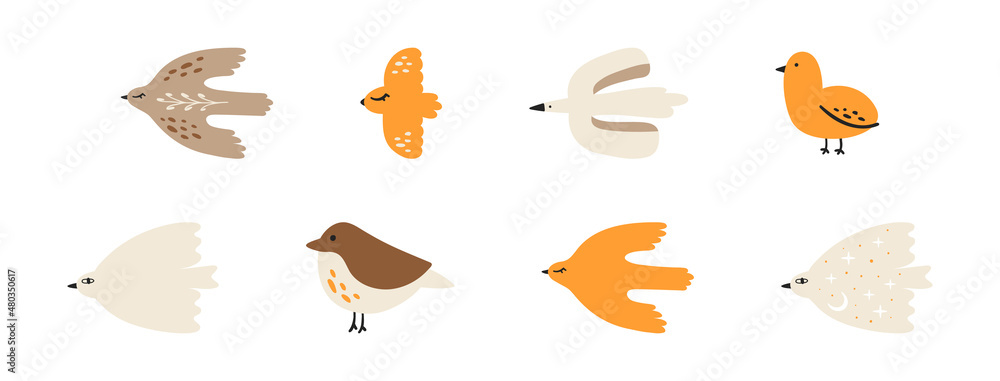 Collection of cartoon birds isolated on white background. Set of flying ...
