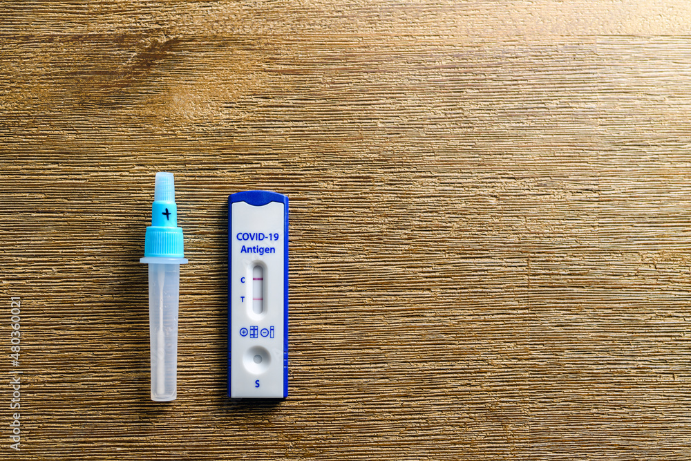 COVID-19 rapid antigen test provided by government and showing negative ...