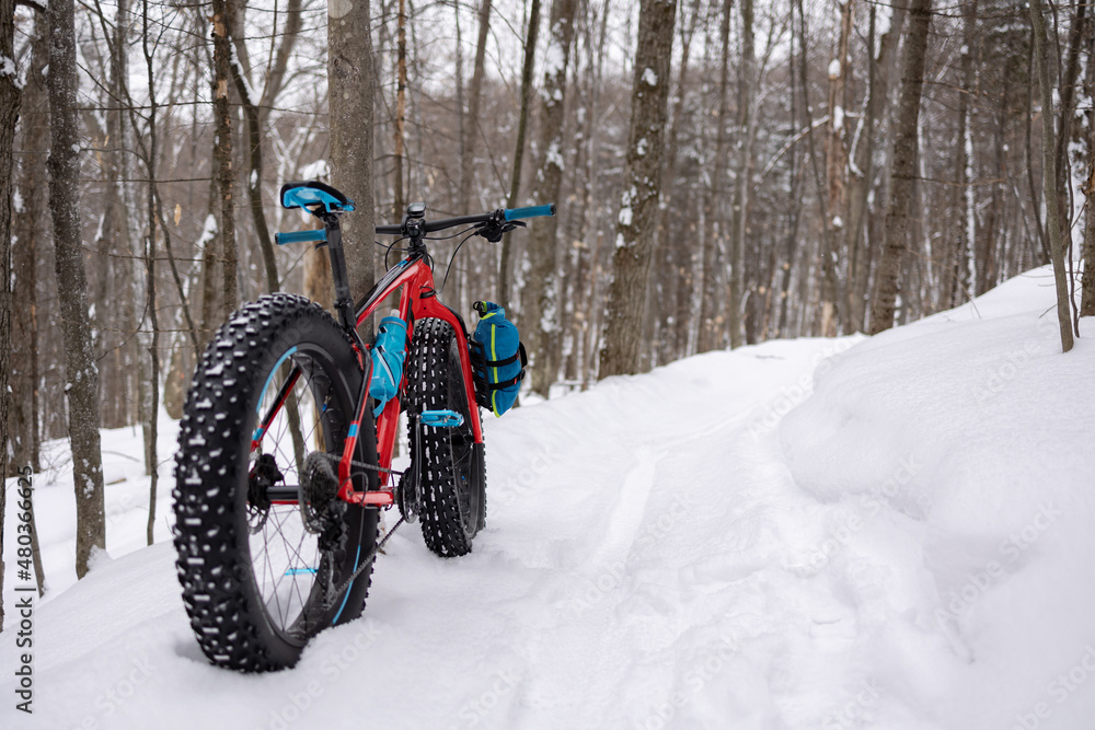 Foto de Fatbike trail with fat bike lying on a tree do Stock | Adobe Stock