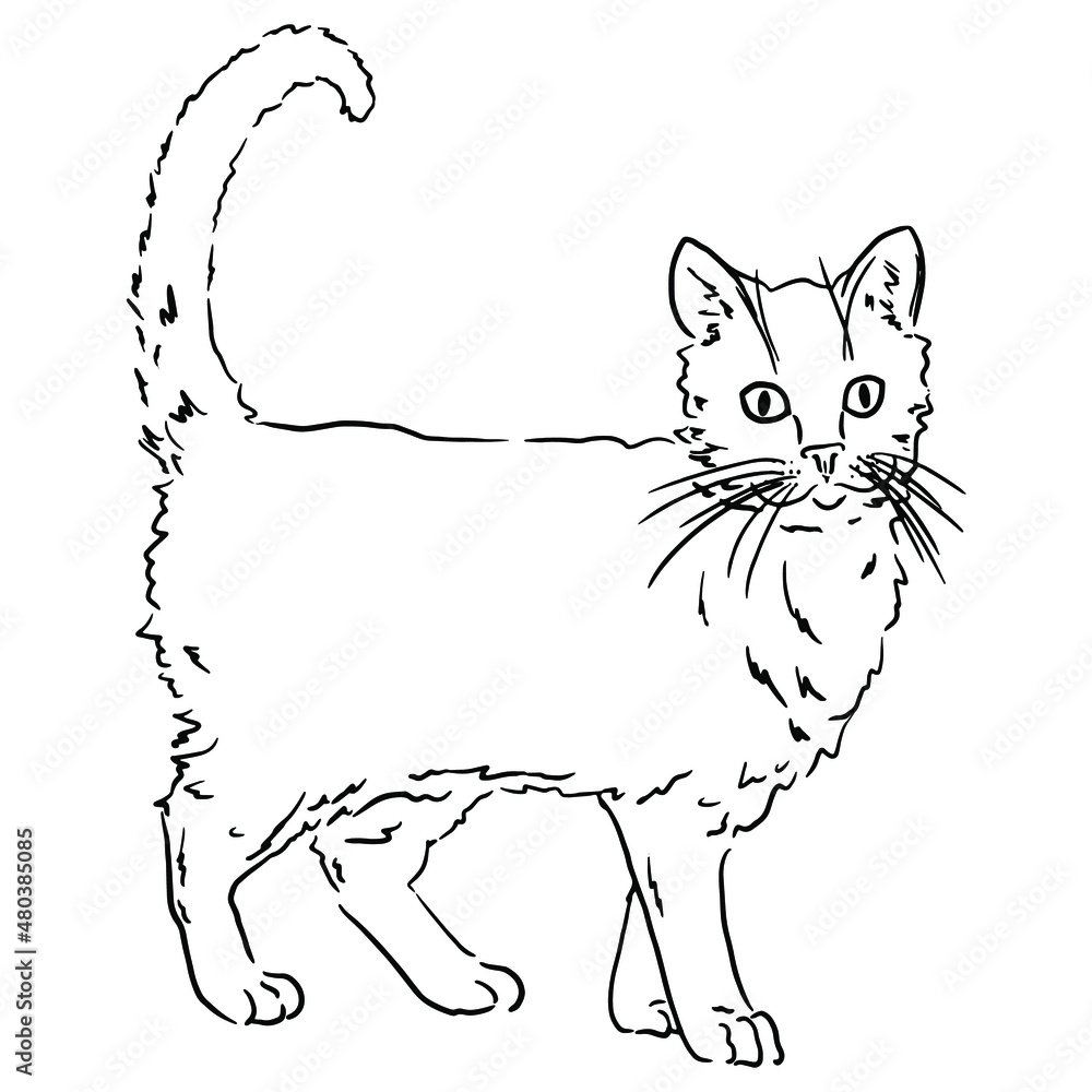 Vector illustration of a standing cat with a raised tail. Black and ...