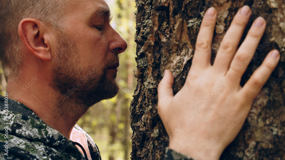 Adult man touches a huge tree, sniffs the bark and hugs the trunk. An ...