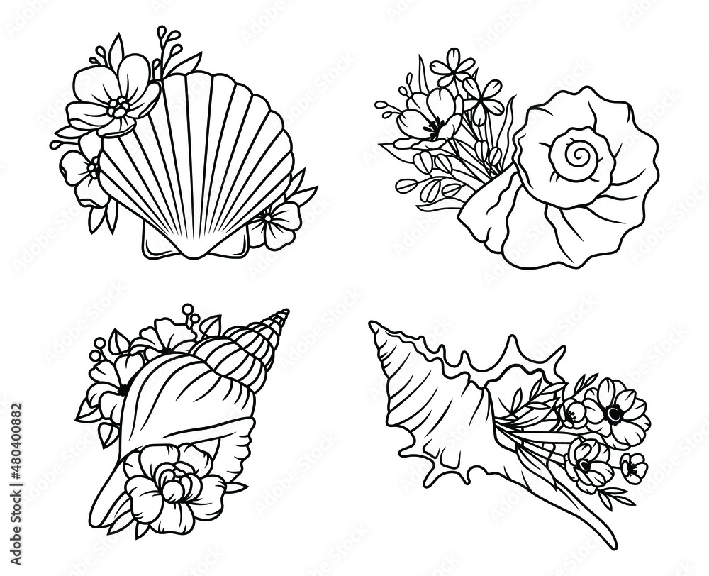 Beach Seashells Drawings