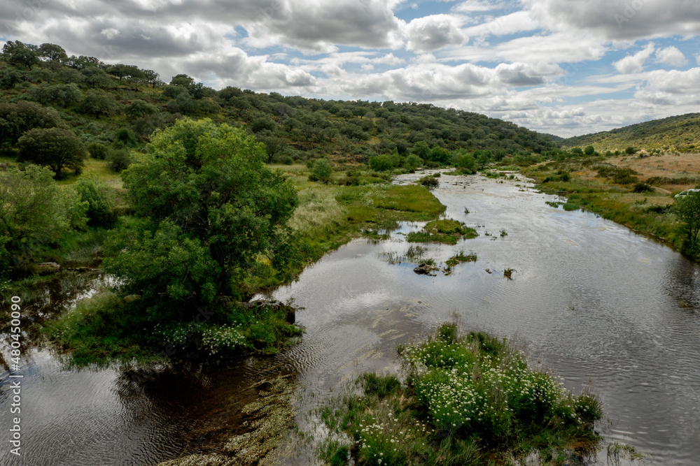 Espacio natural de interés ornitológico ZEC Río Almonte en la Red ...