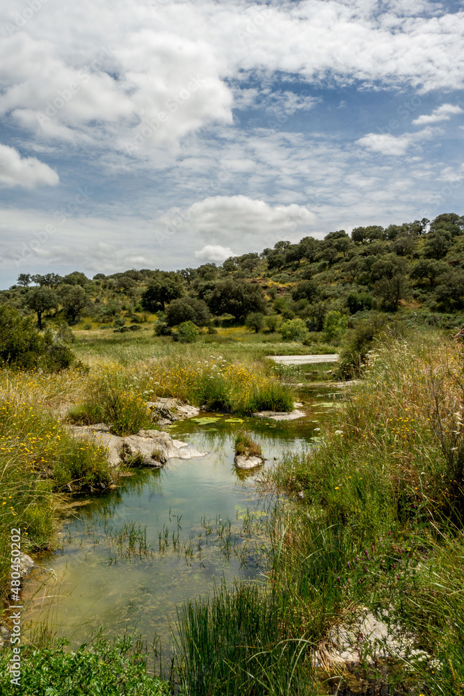 Espacio natural de interés ornitológico ZEC Río Almonte en la Red ...