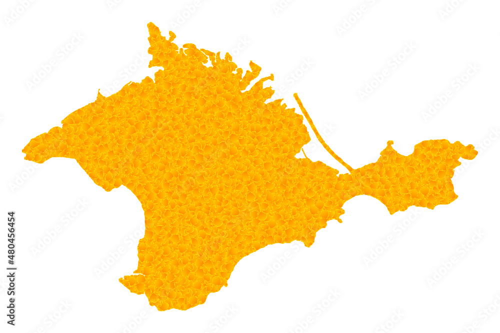 Póster Vector Gold map of Crimea – Cuadro para Pared | Posters.es