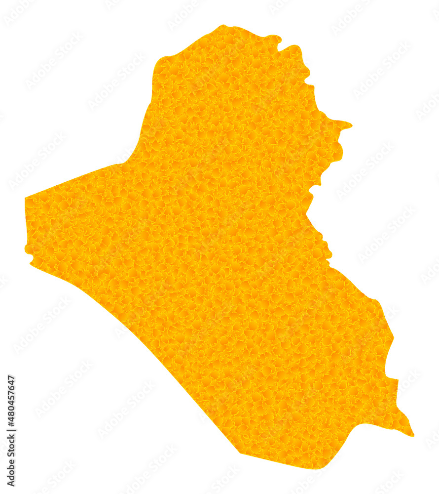 Vector Gold map of Iraq. Map of Iraq is isolated on a white background ...