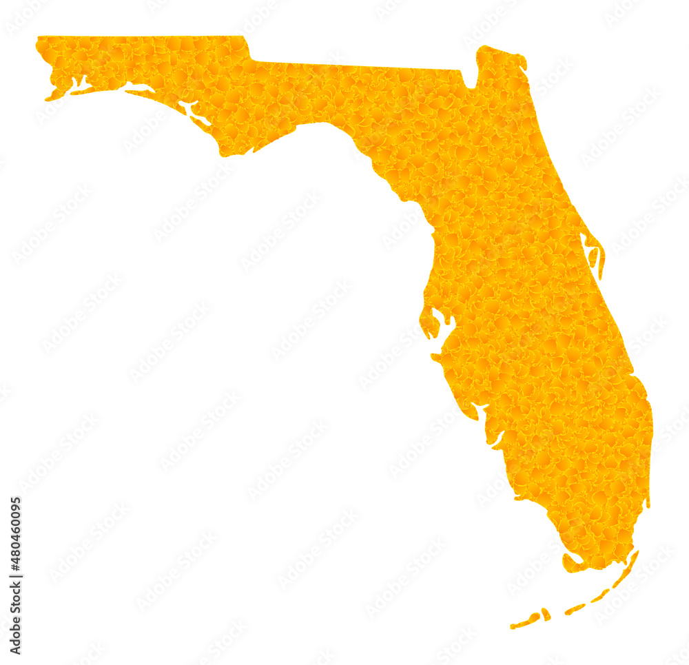 Vector Gold map of Florida State. Map of Florida State is isolated on a ...