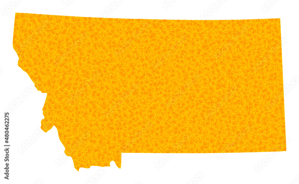 Vector Gold map of Montana State. Map of Montana State is isolated on a ...