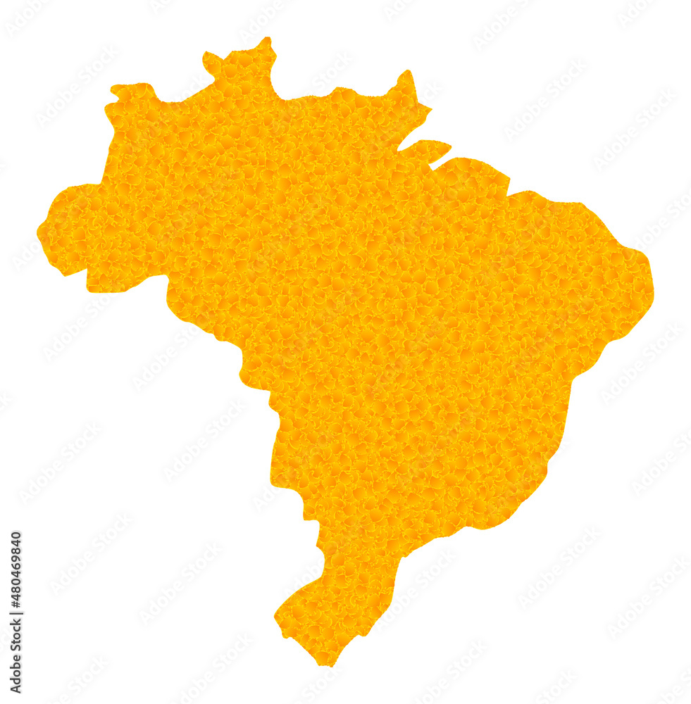 Vector Gold map of Brazil. Map of Brazil is isolated on a white ...